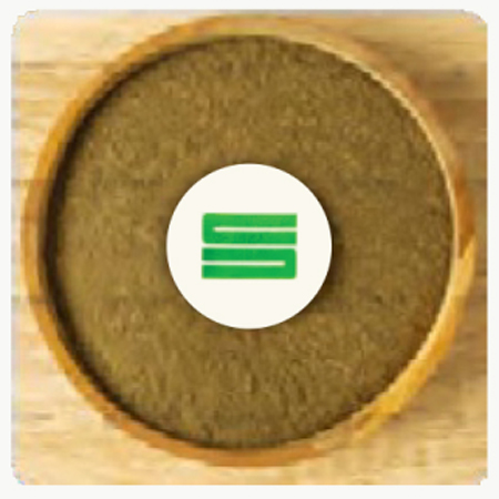 Bay Leaf Powder For Sale | PT. Ben Sehat Sejahtera