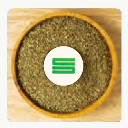 Dried Basil Bulk | PT. Ben Sehat Sejahtera